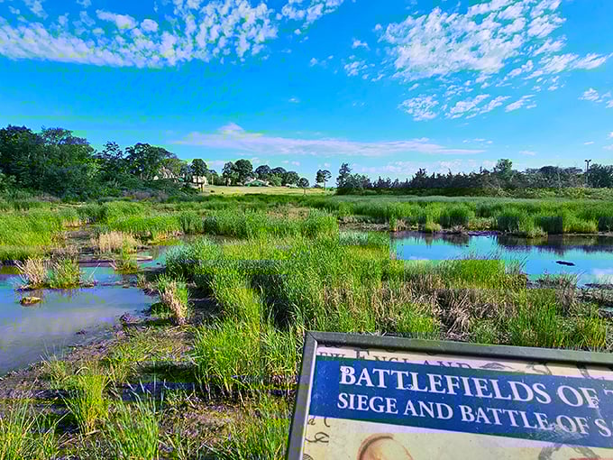 Nature reclaiming history at Fort Saybrook Monument Park&mdash;where Connecticut's colonial past whispers through salt marsh grasses under impossibly blue skies.