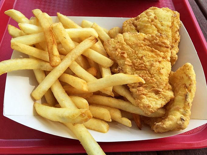 Fish so perfectly fried it makes you wonder if the chef has some sort of pact with the ocean gods. The fries aren't bad company either.