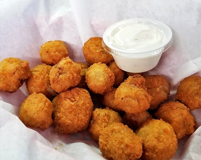Golden-fried mushrooms that crunch like autumn leaves, paired with a dipping sauce that makes you question why vegetables ever needed improving. Yet here we are.