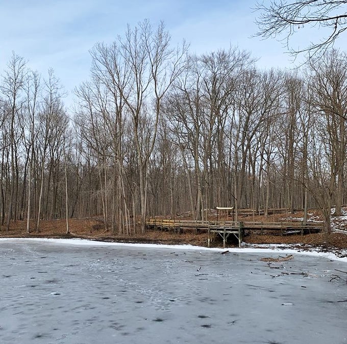 Winter's mirror has frozen over. This icy pond scene is Michigan's version of cryotherapy—invigorating to look at, better appreciated from the shore.