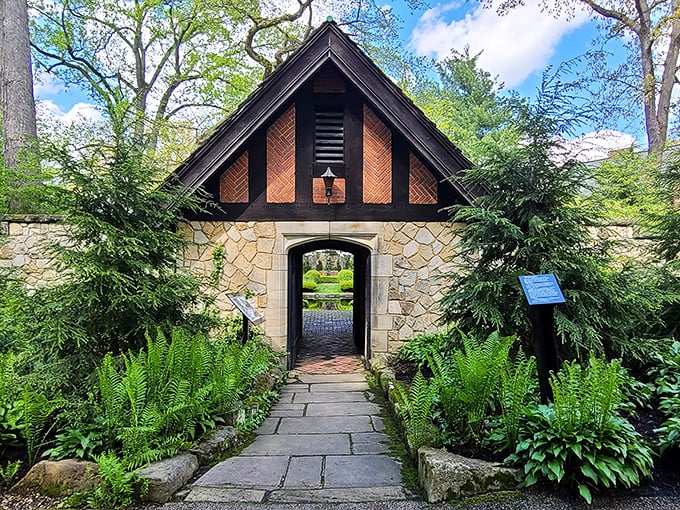 This charming garden entrance, flanked by lush ferns, silently judges the sad little archway you considered installing in your own backyard.