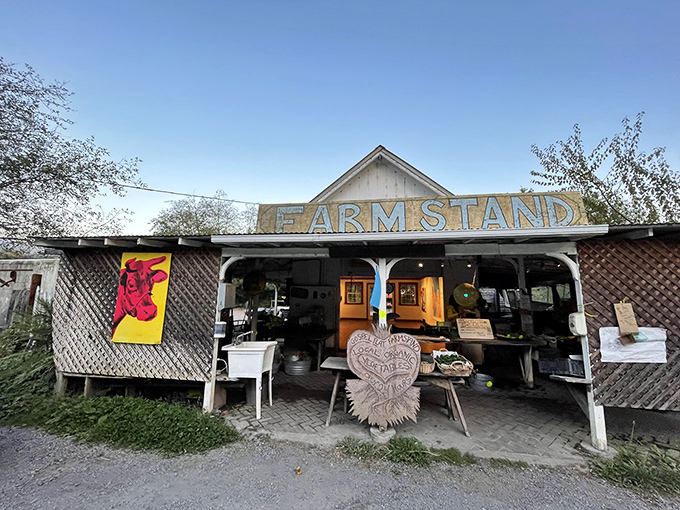 Farm-to-table isn't a trend here but a way of life – Gospel Flat Farm Stand offers produce so fresh it practically introduces itself.