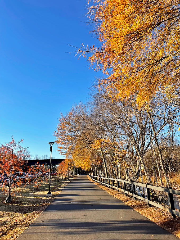 The Swamp Rabbit Trail dresses in autumn gold, inviting retirees to stroll beneath a canopy that rivals New England's famous foliage without the premium price tag.