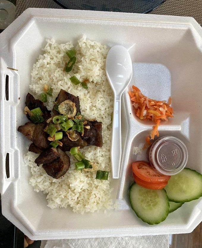Simple pleasures done right: tender grilled pork over rice with fresh vegetables. The kind of lunch that makes you question why you ever eat anything else.