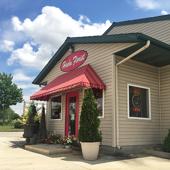 Haehn Florist's cheery red awning brightens even the cloudiest Ohio day. Small businesses like this are the heartbeat of towns like Wapakoneta.