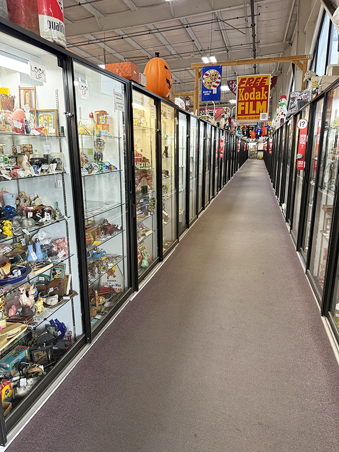 The corridor of collectibles stretches like a museum where everything has a price tag. Each glass case a window into obsessions both familiar and fascinatingly obscure.