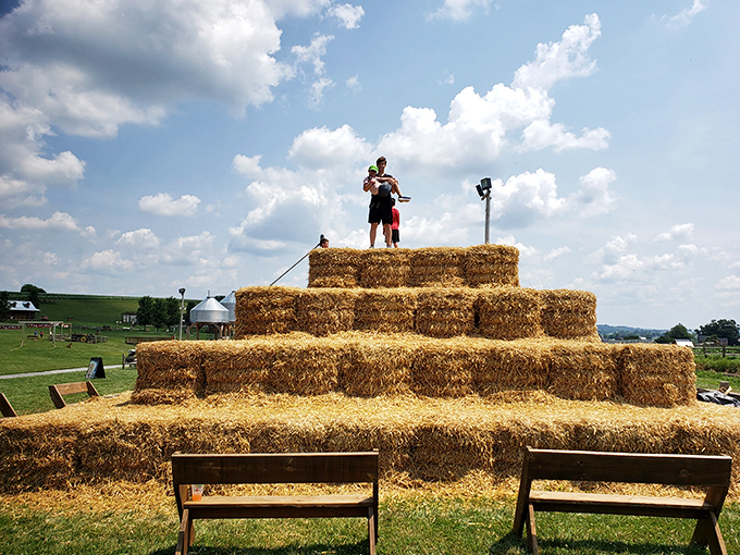 King of the hay mountain&mdash;a timeless game where conquering a pile of straw feels like summiting Everest, minus the oxygen tanks.