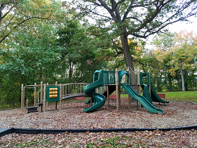 Neighborhood parks offer peaceful retreats where grandkids can burn energy while grandparents enjoy the simple pleasure of watching childhood unfold.