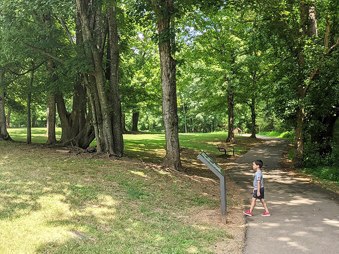 Nature's therapy session awaits on Hillsborough's walking trails, where dappled sunlight filters through ancient trees and stress dissolves with each step.