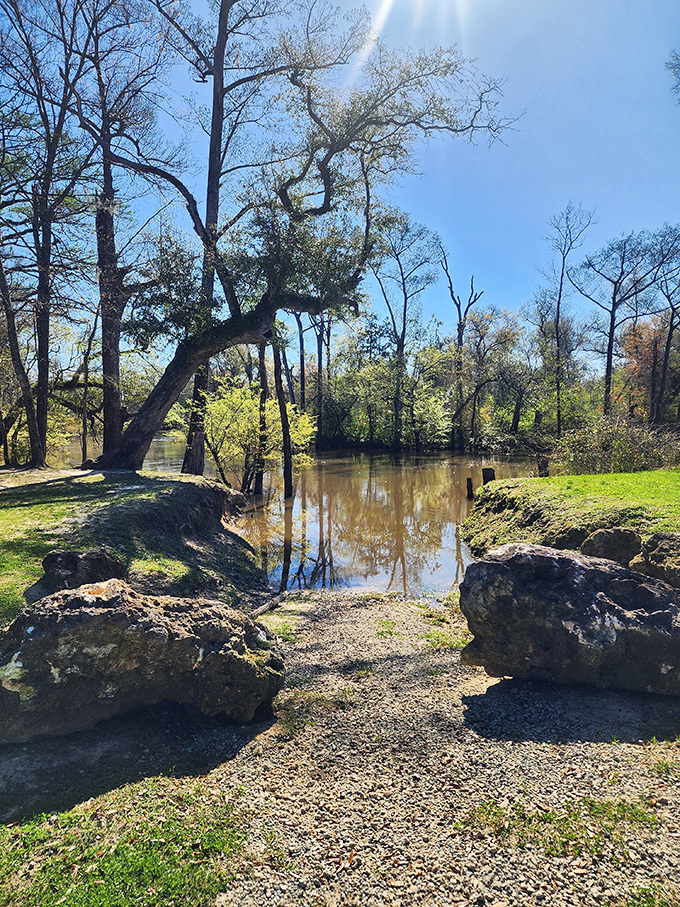 Nature's own waterfront property where the reflections are as perfect as the real estate prices in Marianna compared to coastal Florida.