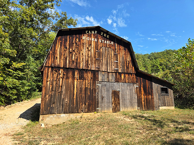 The weathered Camp Zoe barn stands as a rustic time capsule, whispering stories of horseback adventures from decades past.