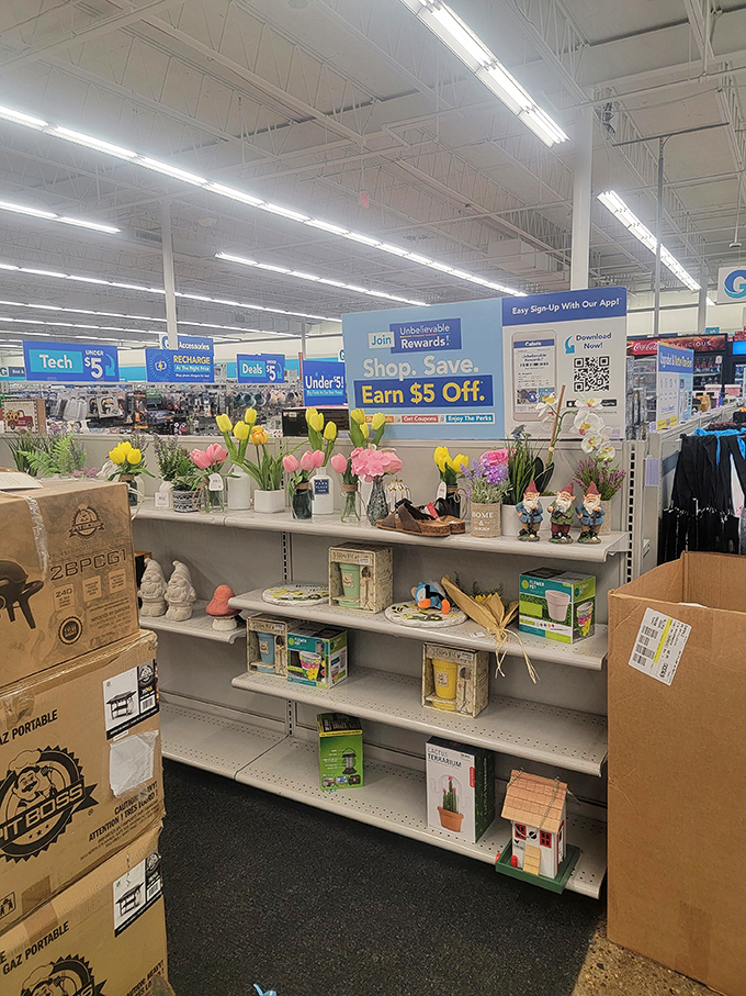 Spring has sprung in the home decor aisle, where garden gnomes and artificial blooms wait to brighten someone's windowsill.