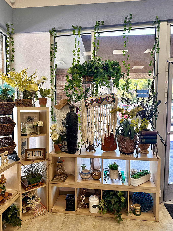 A botanical bonanza that proves even fake plants can bring real joy to your secondhand shopping adventure.