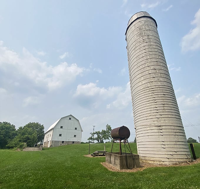 Rural charm personified! This classic white barn and towering silo stand as monuments to Ohio's agricultural heritage against a perfect blue sky.