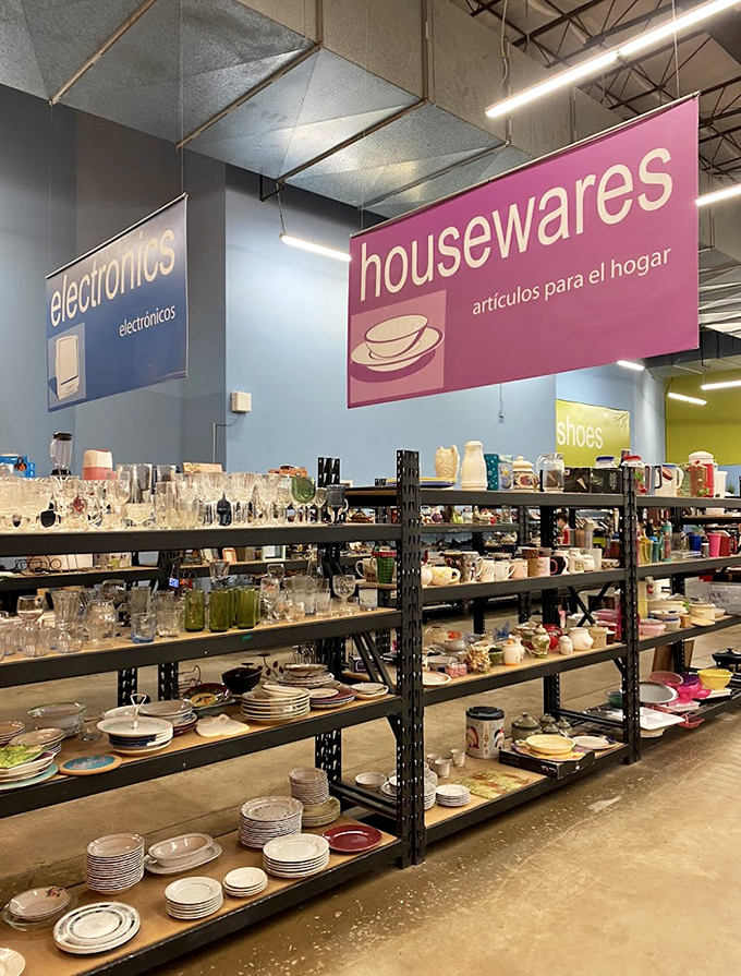 The housewares section&mdash;a paradise where mismatched plates and forgotten treasures find new kitchens to call home.
