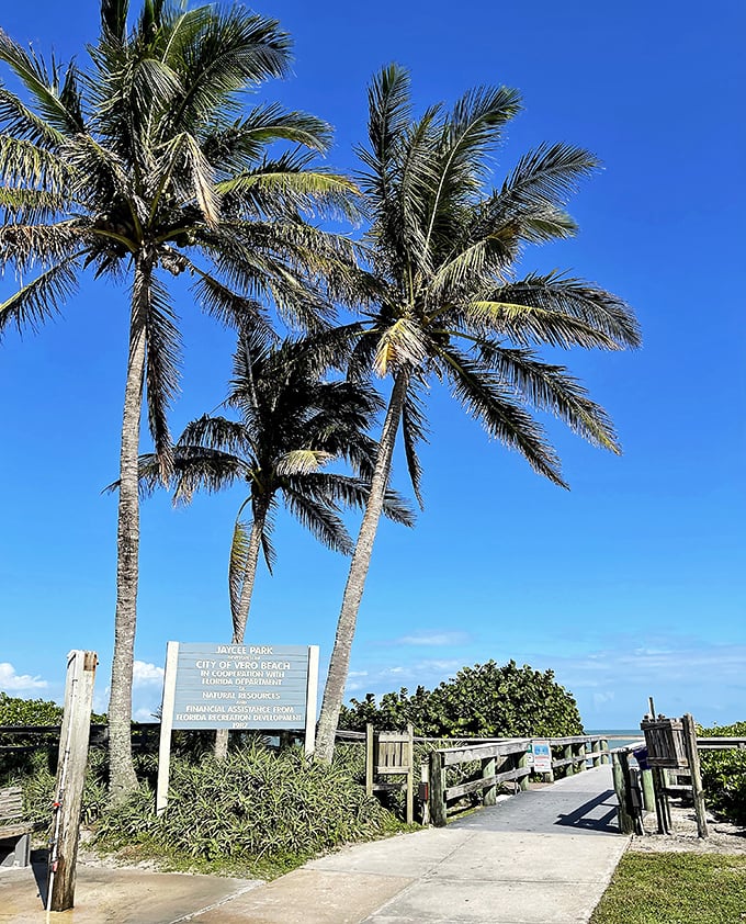Jaycee Park's iconic palm-lined entrance &ndash; the gateway to paradise that locals cherish year-round.