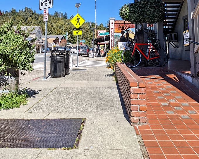 Boulder Creek's sidewalks invite leisurely strolls past shops where owners know your name. The antidote to mall culture stands preserved in redwood country.