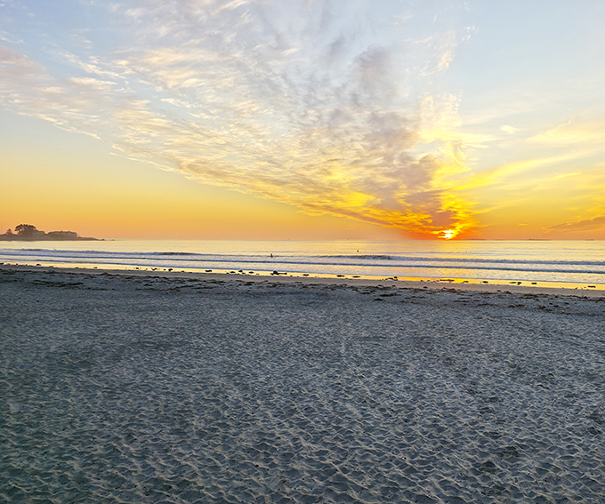 Jenness Beach's golden hour transforms ordinary sand into a canvas of amber light. Even the lone beachcomber seems to glow.