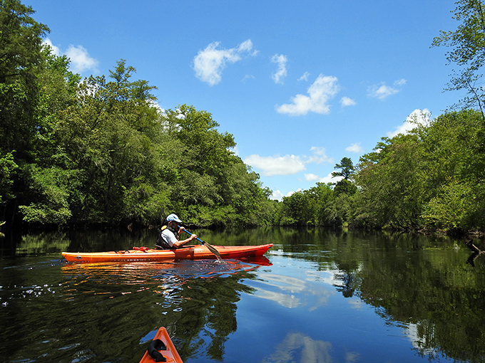 The emerald corridor &ndash; paddling the Lumber River feels like gliding through nature's secret passageway, hidden in plain sight.