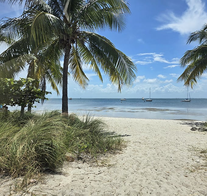 Where sea meets shore in a gentle handshake, palm trees lean in as if sharing secrets with the turquoise waters.