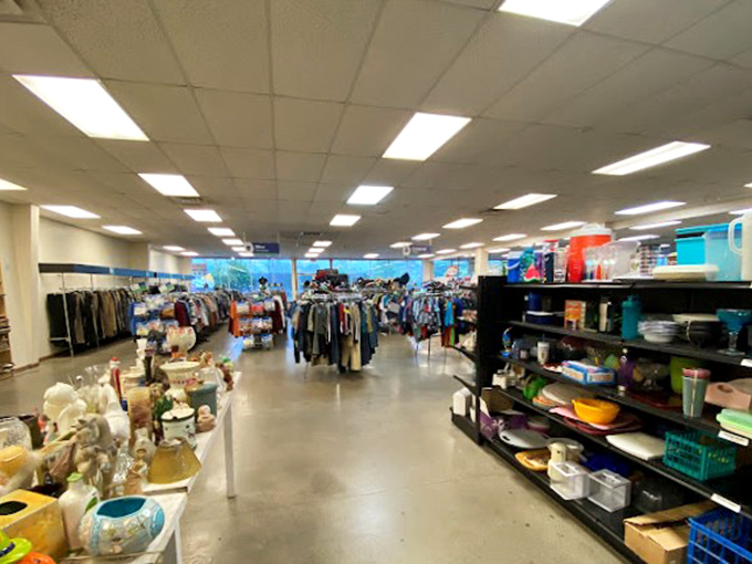 The kitchenware section tells stories of dinner parties past and potlucks future, with enough serving dishes to feed the entire county.