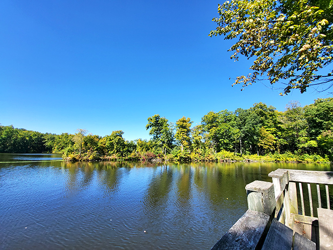 The fishing pier extends into possibilities as endless as a weekend Netflix binge.
