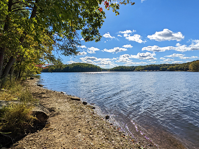 Fall Creek Falls Lake isn't just pretty &ndash; it's 345 acres of mirror-perfect reflections where the sky and mountains compete for who's wearing blue better.