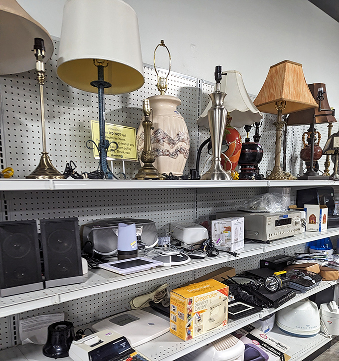 Lamp shopping here is like visiting a lighting museum where everything's for sale. That ceramic base might have illuminated someone's bestselling novel.