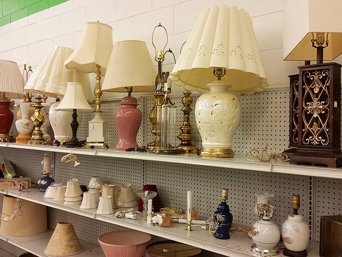 The lamp section glows with potential&mdash;vintage bases and pristine shades waiting to illuminate your living room without lightening your wallet.