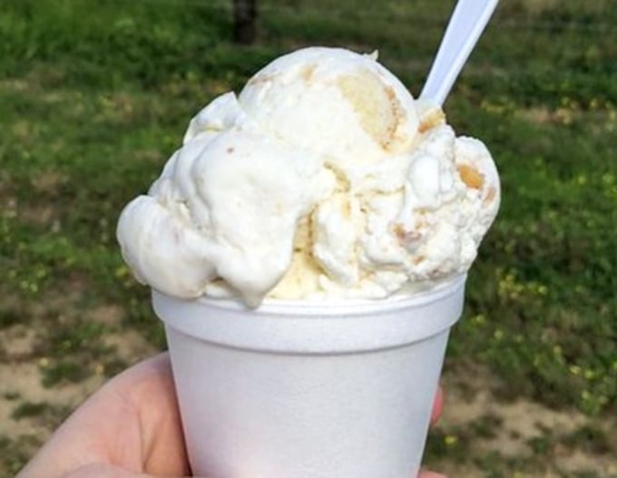Vanilla ice cream so pristine it makes wedding dresses look dingy. This is what happiness looks like when it's served at 32 degrees.