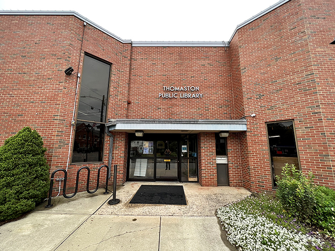 The Thomaston Public Library: where knowledge is free, air conditioning is reliable, and nobody judges you for binge-reading mystery novels instead of classics. 