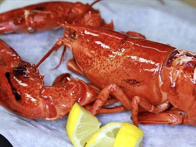 This lobster isn't just food; it's a crimson celebration waiting to be cracked open. The lemon wedges stand by like eager assistants.