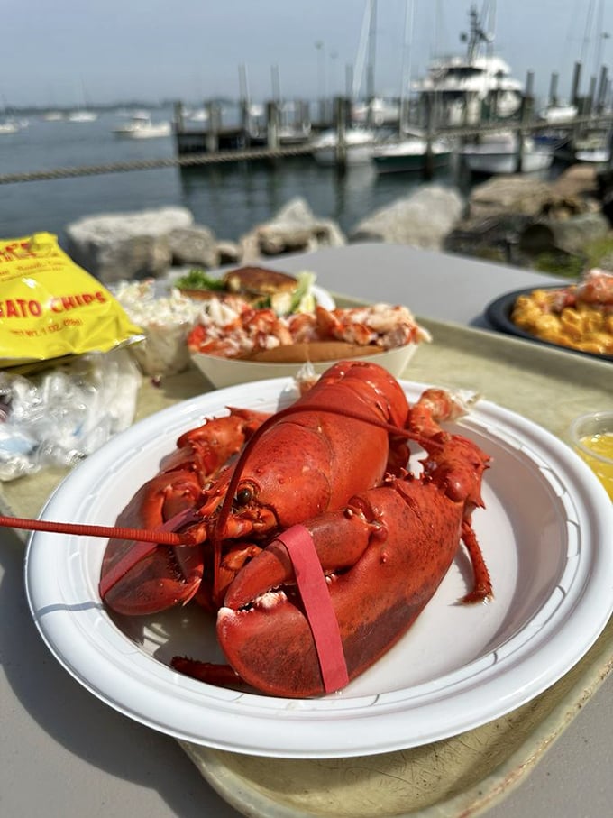 The main event: a whole steamed lobster with those rubber-banded claws saying, "Yes, you'll need to work for this pleasure." Worth every crack and pick.