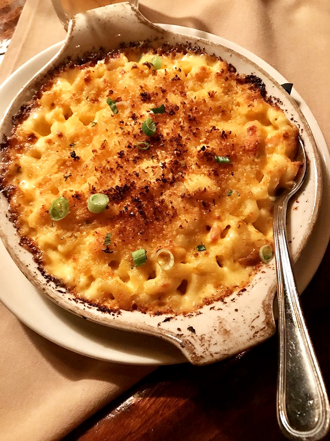 The lobster mac and cheese arrives with a golden-brown crust that crackles with anticipation, begging you to dive in spoon-first.