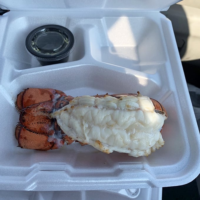 The lobster tail that launched a thousand food photos. Sweet, tender meat that practically begs to be dunked in drawn butter.