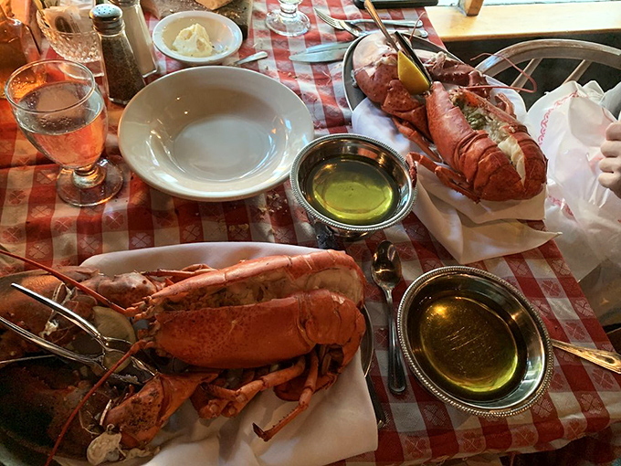 Lobster showdown! These magnificent crustaceans didn't dress up in red for nothing. They're the undisputed heavyweight champions of the seafood world. 