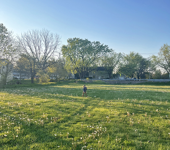Golden hour at Logan Park transforms an ordinary field into a cathedral of light, where everyday moments become sacred in their simplicity.