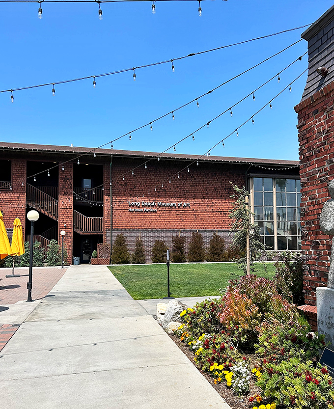The Museum of Art perches on its bluff like it knows exactly how good the view is from up there.