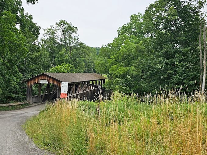 Summer's lush greenery embraces this historical crossing, where tall grasses whisper stories of horse-drawn carriages and Model Ts that passed through.