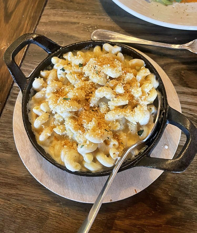 Mac & cheese that would make your grandmother both jealous and proud. That golden crust is the dairy equivalent of winning the lottery.