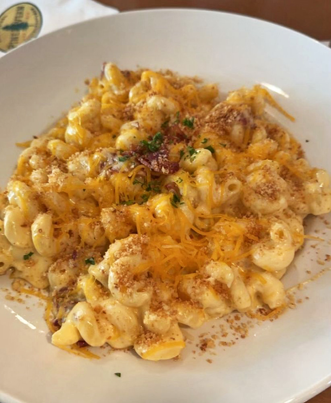 Mac and cheese that doesn't come from a blue box? Revolutionary. This three-cheese masterpiece is what comfort food dreams are made of.