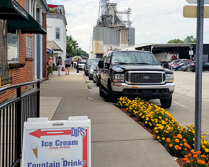Horse-drawn carriages share Main Street with modern vehicles in a traffic dance that somehow just works beautifully every time.