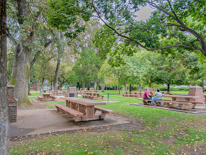 Manuel Vierra Park offers shaded picnic tables where generations gather for potlucks that somehow always include someone's famous potato salad.