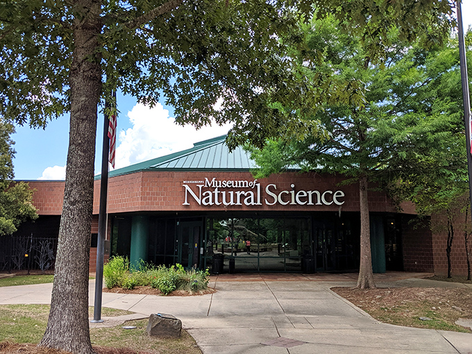 The Museum of Natural Science stands as Mississippi's love letter to curiosity, inviting visitors to discover wonders both ancient and alive.