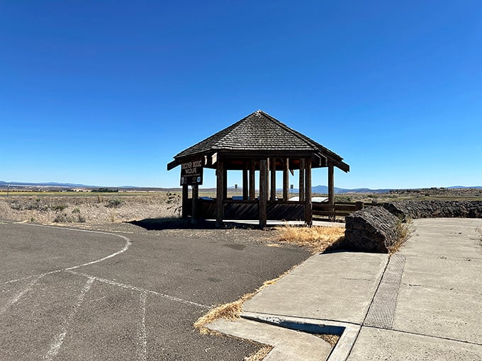 Sometimes the best observation points are the simplest ones. This wooden shelter offers panoramic views of Modoc National Wildlife Refuge without a single admission fee.