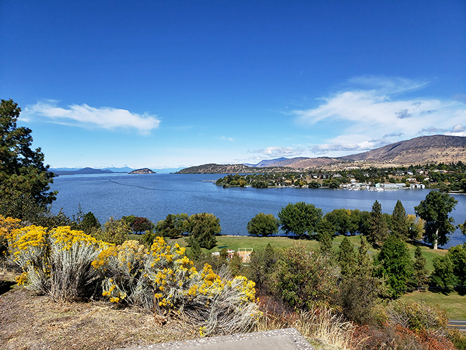 Moore Park spreads out like nature's own welcome mat, with views that make your phone camera weep.