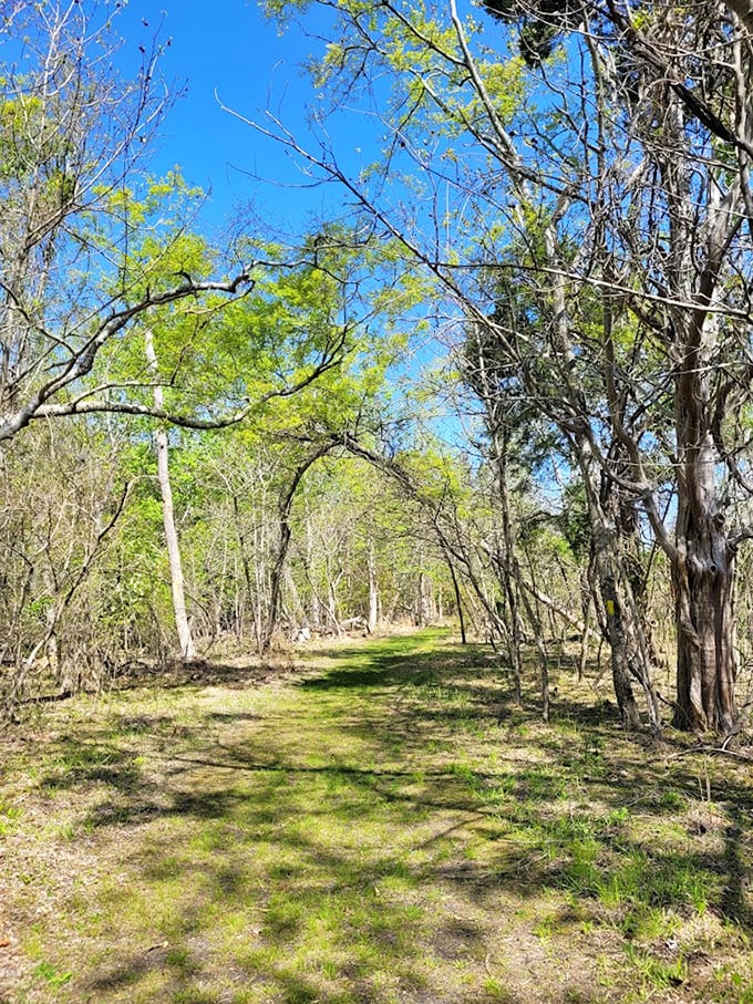 Family adventures unfold one footstep at a time along trails that have witnessed generations of explorers, both big and small.