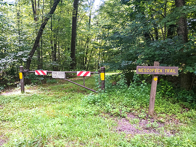 Trail entrances like this are nature's version of "Choose Your Own Adventure." The Nescopeck Trail beckons with mysteries waiting beyond that gate.
