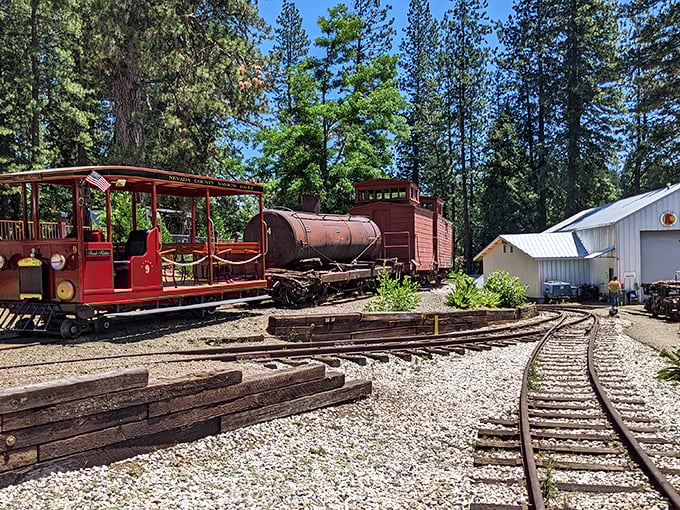 All aboard for a trip back in time! The Nevada County Narrow Gauge Railroad Museum keeps Gold Rush transportation history on track.