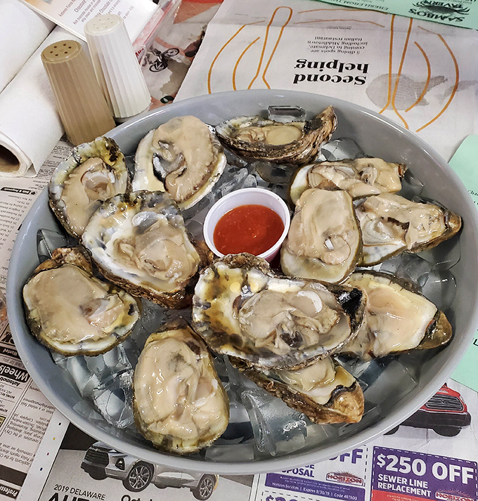 Raw oysters that taste like the ocean decided to throw you a surprise party.